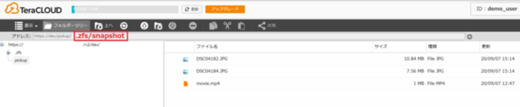 Retrieving files from a ZFS snapshot|InfiniCLOUD | All-In-One Cloud ...